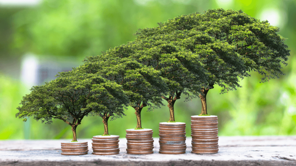 Des retombées économiques de 850 000 $ en 2023-2024 - CEDEC